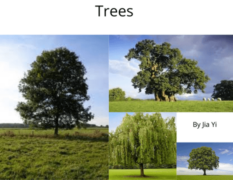 Trees | Visual Paradigm User-Contributed Diagrams / Designs